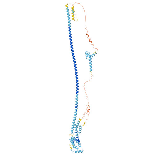 RCSB PDB - AF_AFC8ZCI0F1: Computed structure model of MICOS complex ...