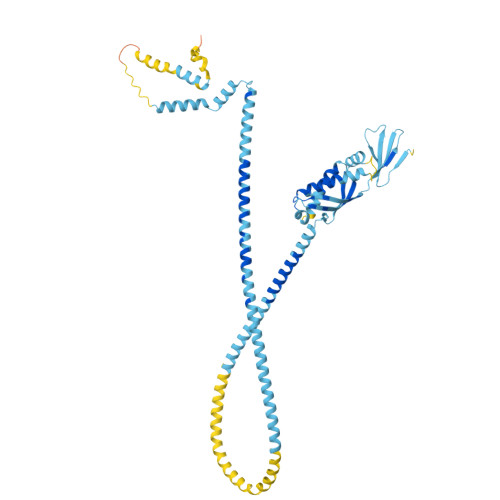 RCSB PDB - AF_AFD2XNR2F1: Computed structure model of Flotillin-like ...
