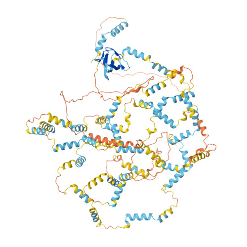 RCSB PDB - AF_AFD4A164F1: Computed structure model of Nebulette