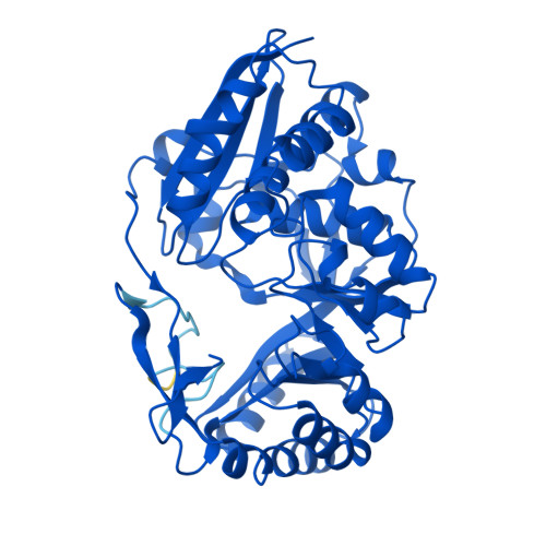 RCSB PDB - AF_AFE1V4Y0F1: Computed structure model of D-galactonate ...