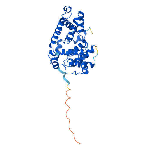 RCSB PDB - AF_AFF1RBC9F1: Computed structure model of Cyclin-C