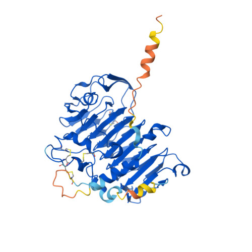 RCSB PDB - AF_AFI1JXE5F1: Computed structure model of Pectate lyase