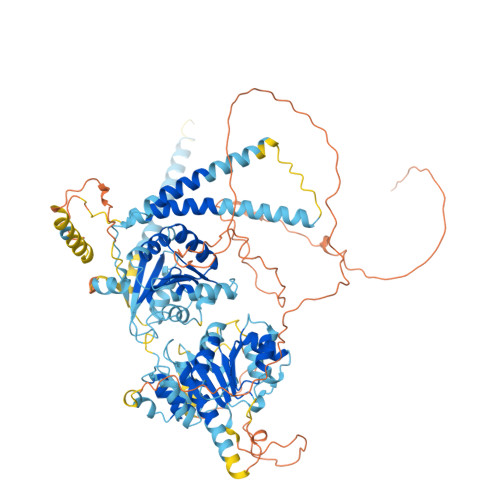 RCSB PDB - AF_AFI1KIF1F1: Computed structure model of Uncharacterized protein