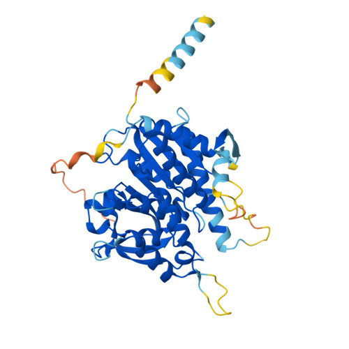 RCSB PDB - AF_AFI1L840F1: Computed structure model of Patatin