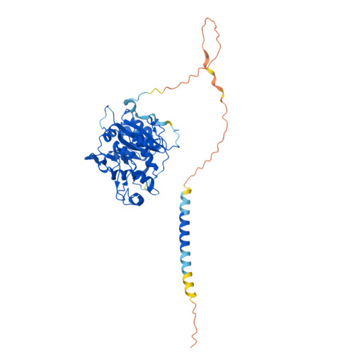 RCSB PDB - AF_AFI1LEU5F1: Computed structure model of Uncharacterized protein