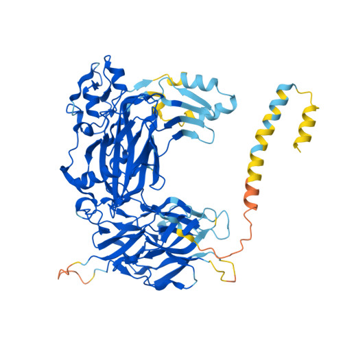 RCSB PDB - AF_AFI1LG17F1: Computed structure model of Uncharacterized protein