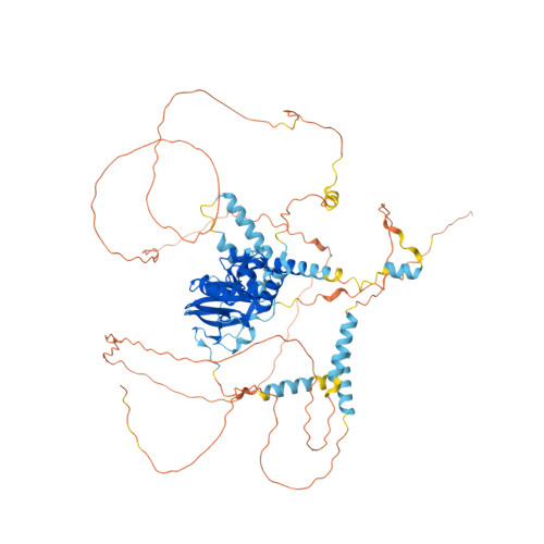 RCSB PDB - AF_AFI1LGI8F1: Computed structure model of MINDY_DUB domain ...