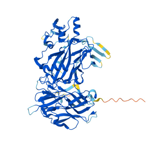 RCSB PDB - AF_AFI1MJH8F1: Computed structure model of Uncharacterized protein