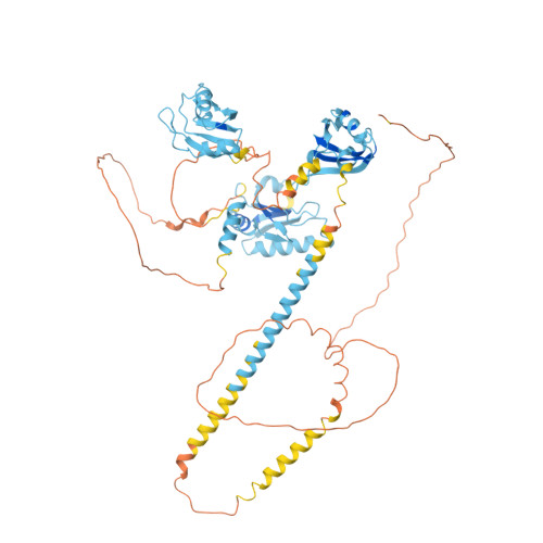 RCSB PDB - AF_AFI1NF91F1: Computed structure model of Uncharacterized protein