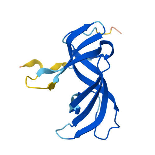 RCSB PDB - AF_AFK0EWY5F1: Computed structure model of Uncharacterized protein