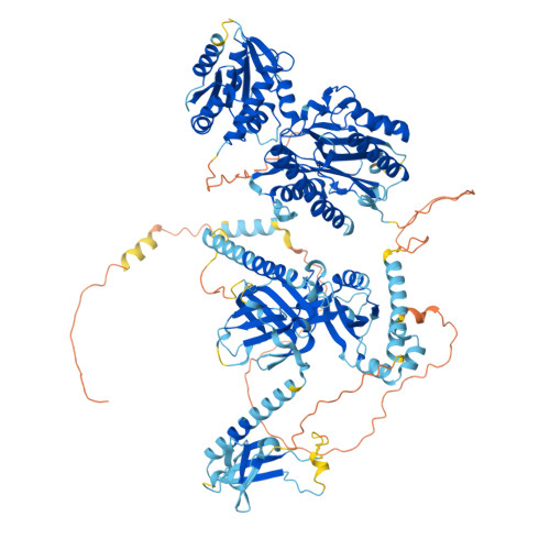 RCSB PDB - AF_AFK7MPW8F1: Computed structure model of FACT complex subunit