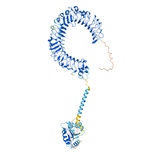 RCSB PDB - AF_AFO00206F1: Computed structure model of Toll-like receptor 4