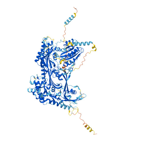 RCSB PDB - AF_AFO08532F1: Computed structure model of Voltage-dependent ...
