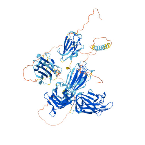 RCSB PDB - AF_AFO14786F1: Computed structure model of Neuropilin-1
