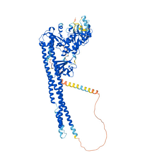 RCSB PDB - AF_AFO14920F1: Computed structure model of Inhibitor of ...