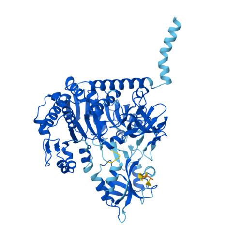 RCSB PDB - AF_AFO14975F1: Computed structure model of Very long-chain ...