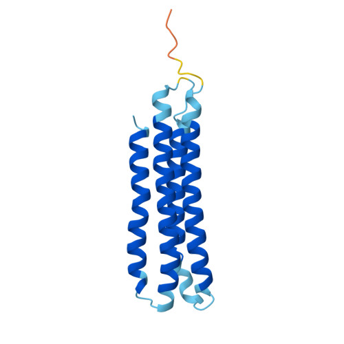 RCSB PDB - AF_AFO18882F1: Computed structure model of V-type proton ...