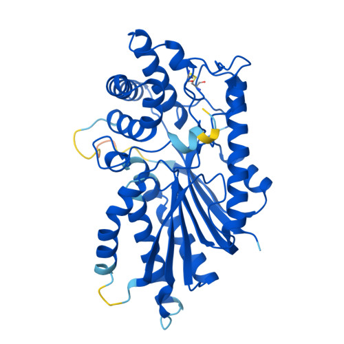RCSB PDB - AF_AFO23234F1: Computed structure model of At4g36470