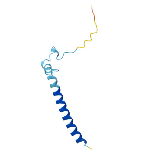 RCSB PDB - AF_AFO24957F1: Computed structure model of Cbb3-type ...