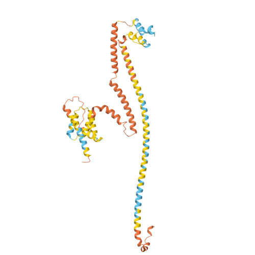 RCSB PDB - AF_AFO25270F1: Computed structure model of Cag pathogenicity ...