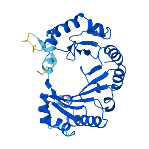 RCSB PDB - AF_AFO25292F1: Computed structure model of SPASM domain ...