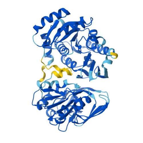 RCSB PDB - AF_AFO28931F1: Computed structure model of Probable cobyric ...