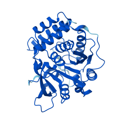 RCSB PDB - AF_AFO50418F1: Computed structure model of Probable ...