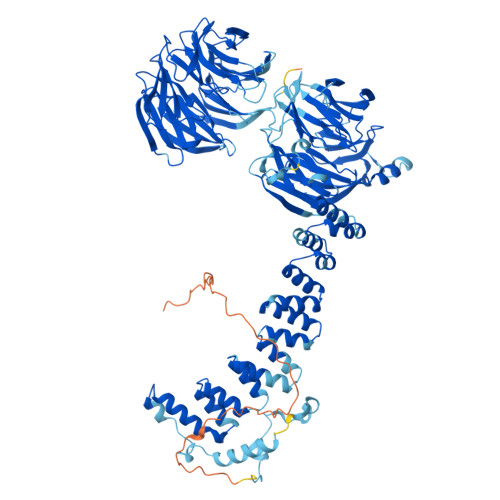 RCSB PDB - AF_AFO55029F1: Computed structure model of Coatomer subunit ...