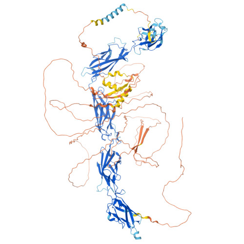 RCSB PDB - AF_AFO55111F1: Computed structure model of Desmoglein-2