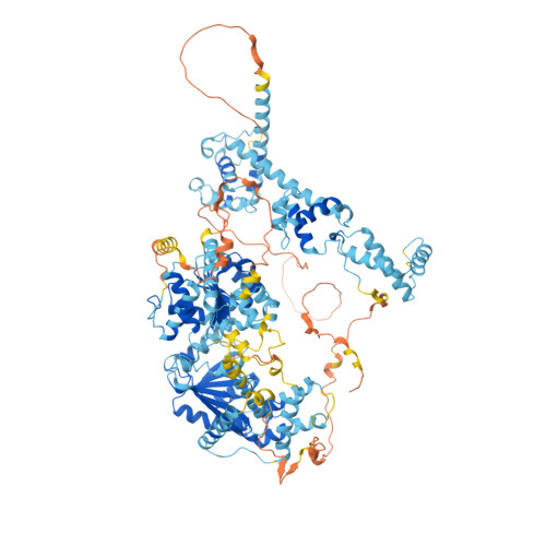 RCSB PDB - AF_AFO60264F1: Computed structure model of SWI/SNF-related ...