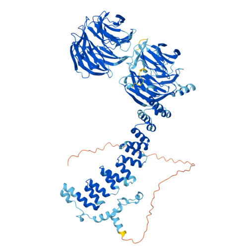 RCSB PDB - AF_AFO62621F1: Computed structure model of Coatomer subunit ...