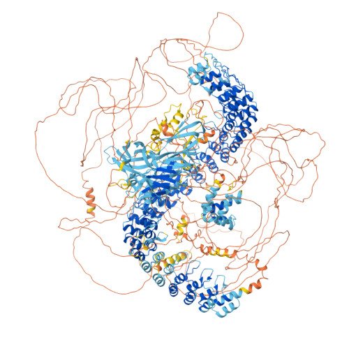 RCSB PDB - AF_AFO70511F1: Computed structure model of Ankyrin-3