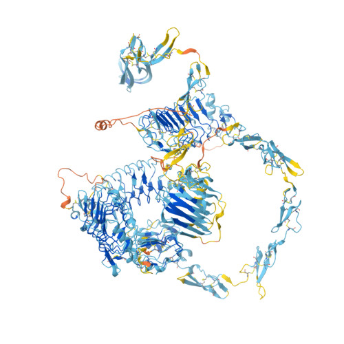 RCSB PDB - AF_AFO75093F1: Computed structure model of Slit homolog 1 ...