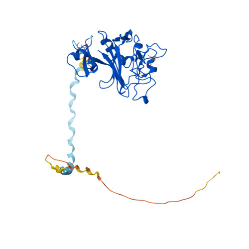 RCSB PDB - AF_AFO75636F1: Computed structure model of Ficolin-3