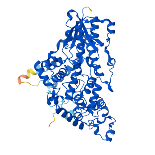 RCSB PDB - AF_AFO77059F1: Computed structure model of Cryptochrome-1