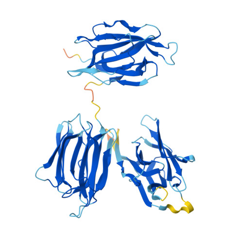 RCSB PDB - AF_AFO80950F1: Computed structure model of Jacalin-related ...