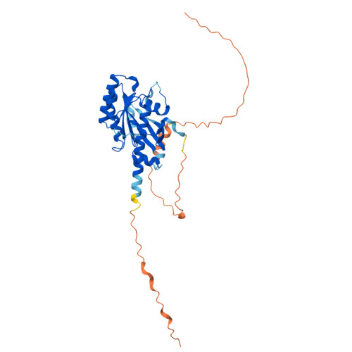 RCSB PDB - AF_AFO95755F1: Computed structure model of Ras-related ...