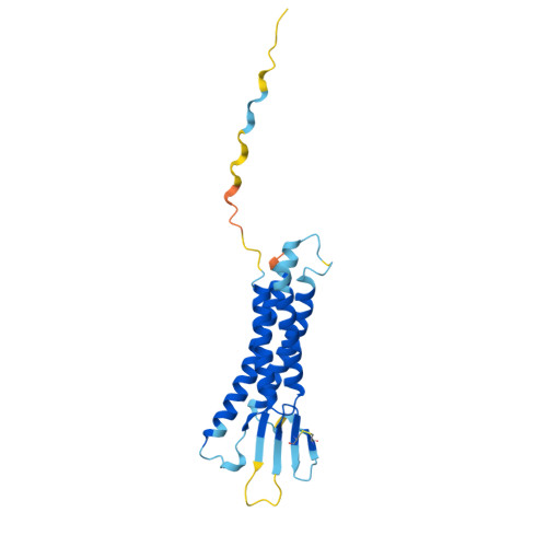 RCSB PDB - AF_AFO95832F1: Computed structure model of Claudin-1