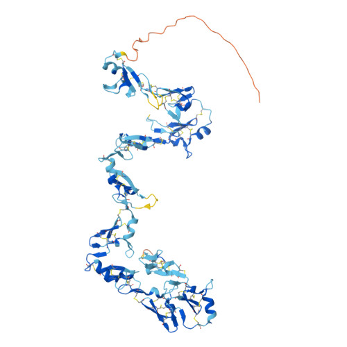 RCSB PDB - AF_AFO95965F1: Computed structure model of Integrin beta ...
