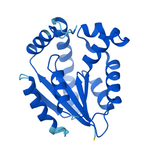 RCSB PDB - AF_AFO96907F1: Computed structure model of Adenylate kinase