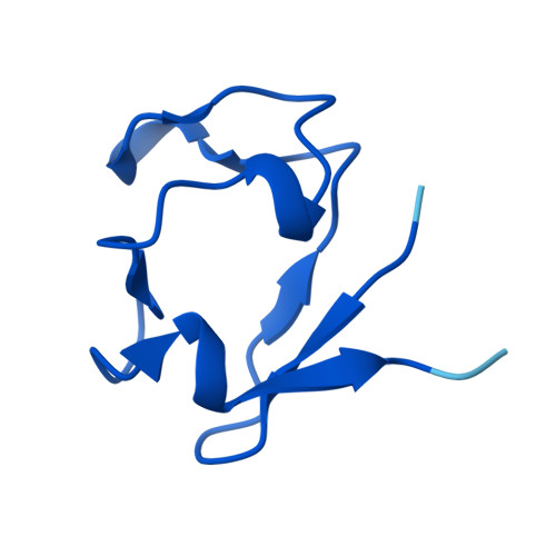 RCSB PDB - AF_AFP00268F1: Computed structure model of Rubredoxin