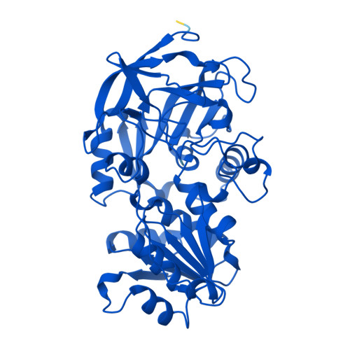 RCSB PDB - AF_AFP00329F1: Computed structure model of Alcohol ...