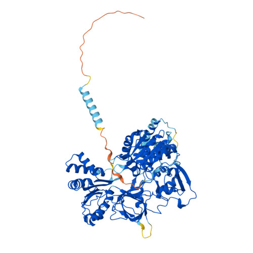 RCSB PDB - AF_AFP00388F1: Computed structure model of NADPH--cytochrome ...