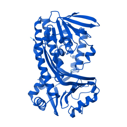 RCSB PDB - AF_AFP00438F1: Computed structure model of p-hydroxybenzoate ...