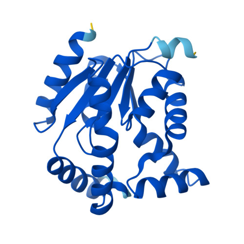 RCSB PDB - AF_AFP00571F1: Computed structure model of Adenylate kinase ...