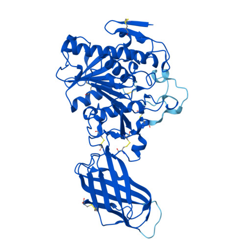 RCSB PDB - AF_AFP00591F1: Computed structure model of Pancreatic ...