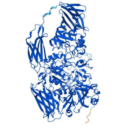 RCSB PDB - AF_AFP00722F1: Computed structure model of Beta-galactosidase