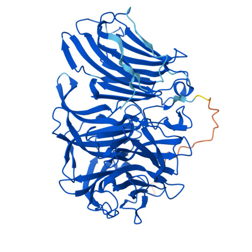 RCSB PDB - AF_AFP00724F1: Computed structure model of Invertase 2