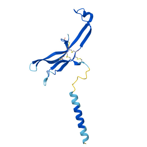 RCSB PDB - AF_AFP01216F1: Computed structure model of Glycoprotein ...