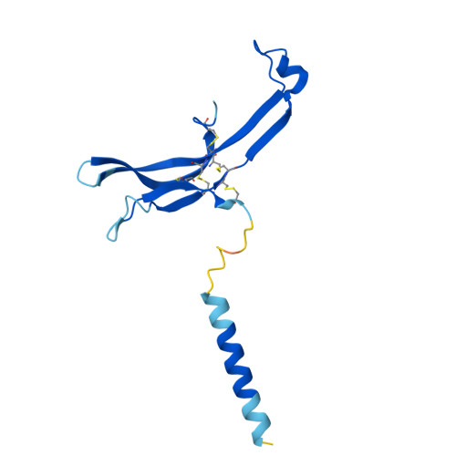 RCSB PDB - AF_AFP01218F1: Computed structure model of Glycoprotein ...